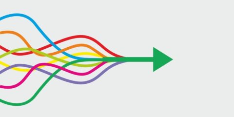 Coaching people through the Change Curve with Belbin › Teamhub